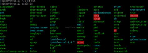 linux目录结构详解 csdn博客