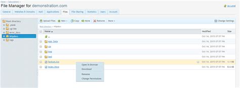 Manipulating Files With The Plesk Control Panel File Manager