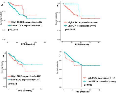The Expression Levels Of Four Core Clock Genes Were Related To