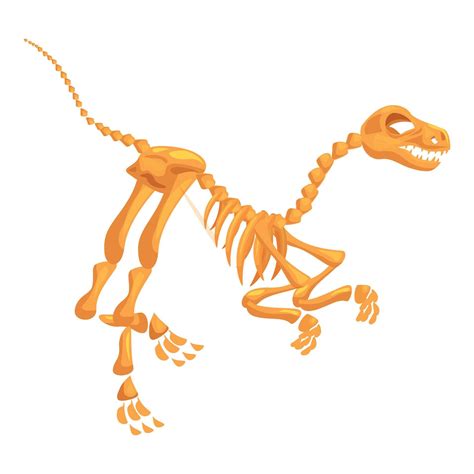 Velociraptor Skeleton Running With Long Tail And Sharp Teeth 47565218