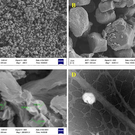 FT IR A EDS B FESEM C And TEM D For The Five Time Reused AAp Download Scientific
