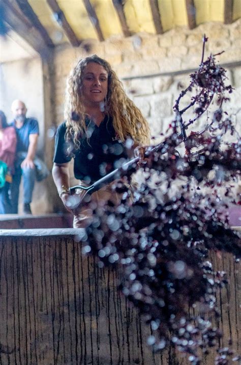 Una Española Que Unió Chile Y España A Través De Sus Vinos Presenta Un Libro En Ee Uu Infobae