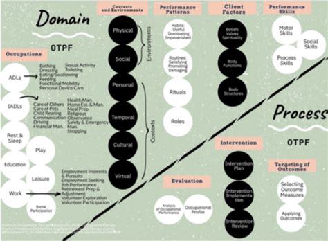 Otpf Flashcards Quizlet