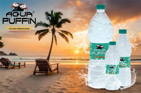 Bottles Aqua Puffin Packaged Drinking Water 1 L At ₹ 80box In Kunda