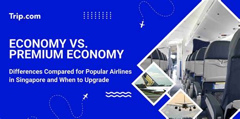 Difference Between Economy And Premium Economy Singapore Guide