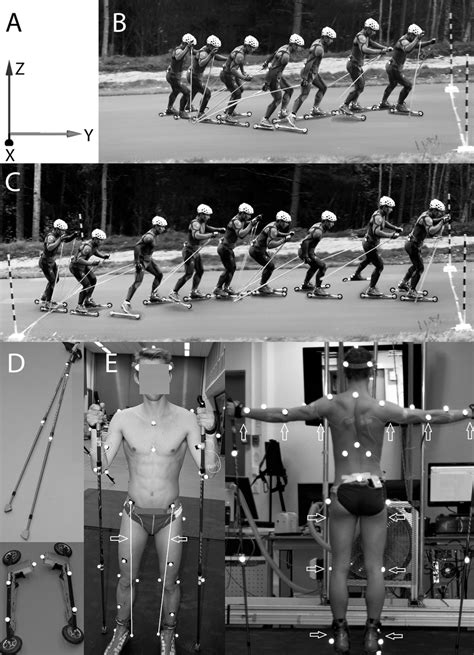 a reference coordinate frame xyz was defined from weak to strong