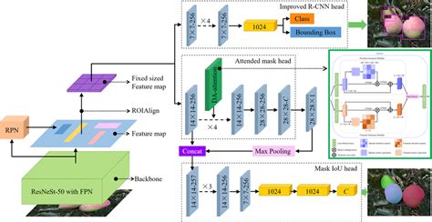 Structure Of Ms Ads Network 1 Input Images Into Backbone For Feature Download Scientific