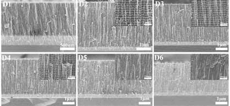 Sem Micrographs Of Fractured Cross Sections For Films Download