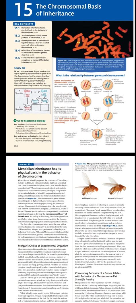 Bio Notes The Chromosomal Basis Of Inheritance And