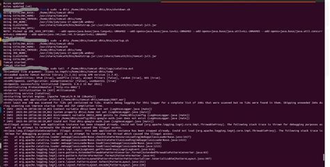 Installation Dhis2 On Aws Ec2 T2 Large Not Loading In Browser And Then Server Goes Down Server