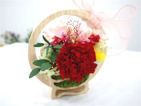 어버이날 선물 카네이션 만들기 체험 공기정화 천연이끼 가족체험 스칸디아모스 가정의달 Diy 키트 네이버 블로그