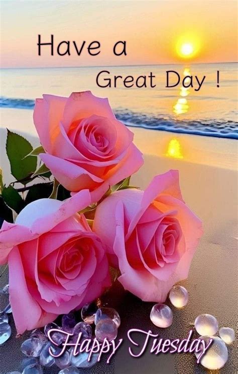 Good Morning With Pink Roses Happy Tuesday Images Beautiful Happy
