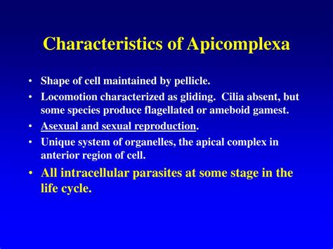 Ppt Phylum Apicomplexa Powerpoint Presentation Free Download Id 1193653