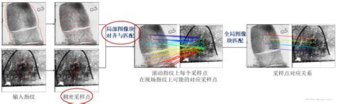 指纹识别与交互基于平面指纹的人机交互系统 Csdn博客 指纹识别与交互基于平面指纹的人机交互系统 Csdn博客