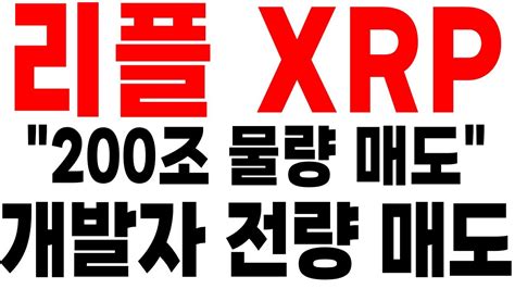 리플 엑스알피🚨200조 물량 개발자 매도🚨3분전 긴급속보 Youtube