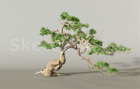 Free Sketchup Tree Models Download