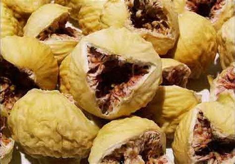 Iran Fig Mazandaran Fars Istahban Iran Fruit Iran Destination