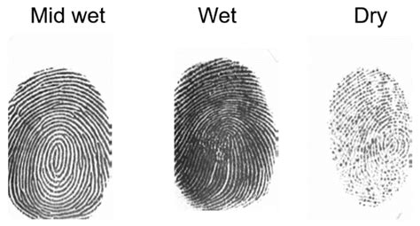 A Behavioral Based Fingerprint Liveness And Willingness Detection System