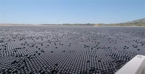Important Reason 96 Million Black Plastic Balls Were Released Into