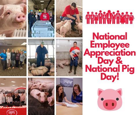 Jodee Haala On Linkedin Im So Incredibly Grateful To Be Part Of The Christensen Farms Team The…