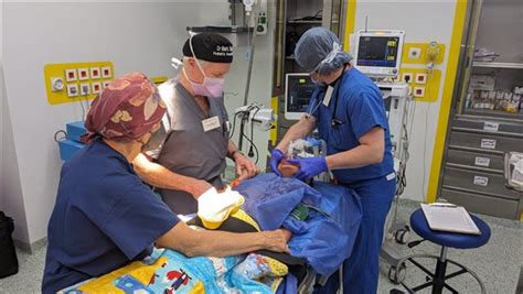 مستشفى الأطفال التخصصي بالأقصر ينجح في الحصول على الحد الأقصى للاعتماد