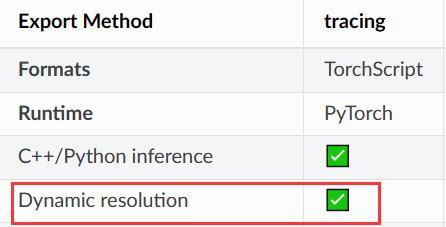 Question About Dynamic Resolution Issue Agoryuno Deepsolo Onnx GitHub
