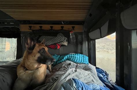 Scout Regalia Scout Regalia Van