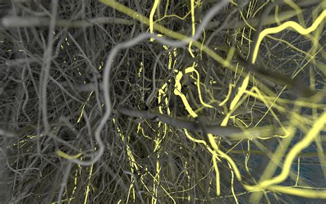 Large Scale And Interactive Scientific Visualization Bringing