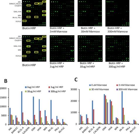 Lectin Array 70 Raybiotech