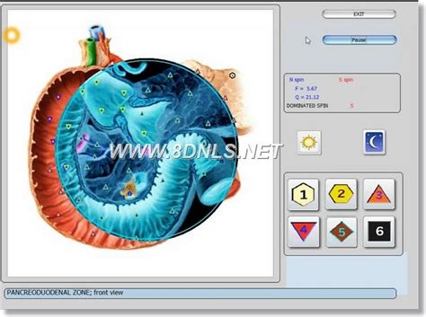 Bioplasma 3d Nls Innovative Health Diagnostics By Maikong Co Ltd