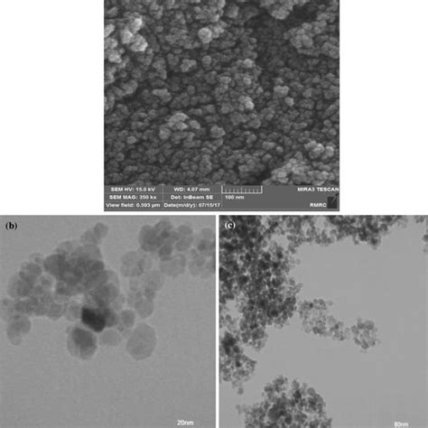 fesem image of fe3o4 sio2 aptms hba nanocomposite a and tem image of