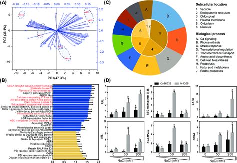 hierarchical clustering and principal component analysis pca of