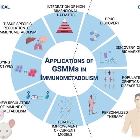 Preclinical And Clinical Applications Of Genome Scale Metabolic Models Download Scientific