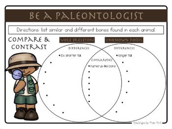 Google Classroom Fossil Types Activity Distance Learning TPT