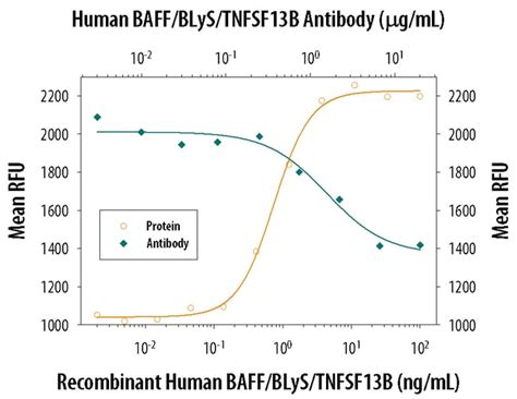 Human Baffblystnfsf13b Antibody R D Systems 100μg Unlabeled