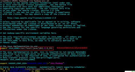 【hadoop】在云服务器上部署hadoop2 7 1伪分布式集群 csdn博客