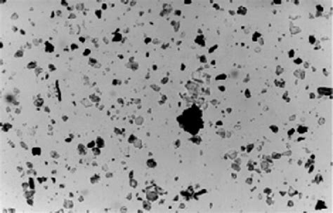 Non Uniform Distribution Of Dust Particles Of Different Size And Type Download Scientific