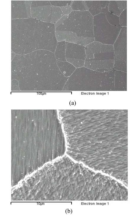 Sem Micrographs Showing Grain Boundary Carbides Of Sensitized Alloy 600