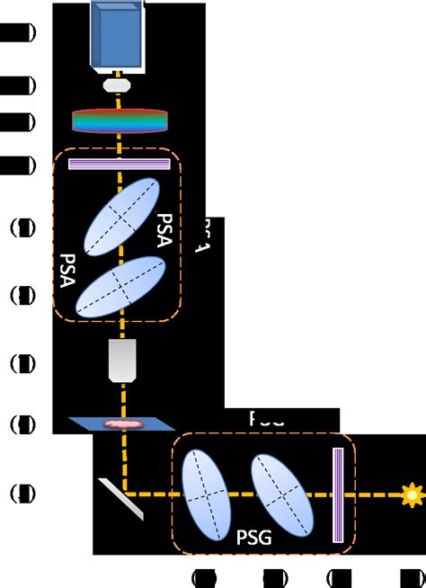 Constructed Mueller Matrix Microscope Download Scientific Diagram