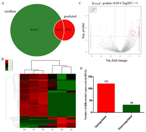 Identification And Comparison Of Circular RNAs In Preeclampsia PeerJ