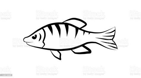 흰색 배경에 고립 된 낙서 물고기 아이콘 플랫 벡터 해산물 로고 디자인 요소 낚시에 대한 스톡 벡터 아트 및 기타 이미지 낚시 클립아트 0명 Istock