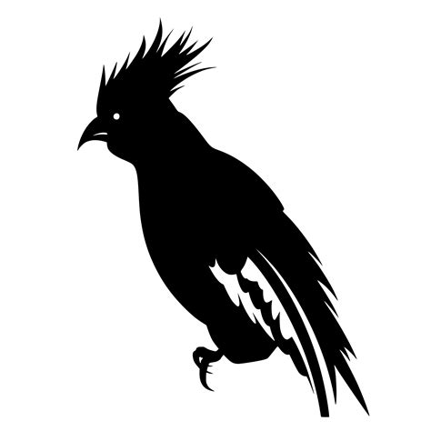 Fluffy Cockatiel Creative Meadow