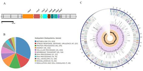 Crispr Locus Composition And Biological Systems Assignment In Ec121 Download Scientific