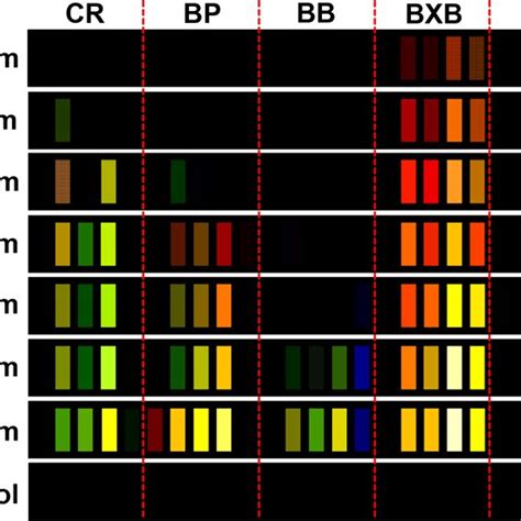 color difference profiles of the 25 element sensor array after 2 min of