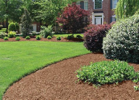 Landscaping With Cedar Mulch 30 Best Garden Edging Ideas For