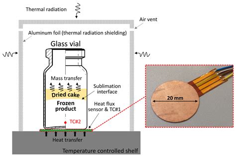 Heat Flux Analysis And Assessment Of Drying Kinetics During Lyophilization Of Fruits In A Pilot