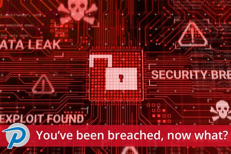 Youve Been Breached Now What Pearl Solutions Group