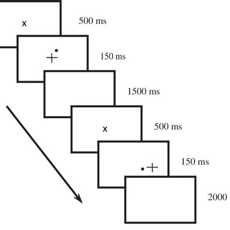 the sequence of a single trial each trial element is depicted with its