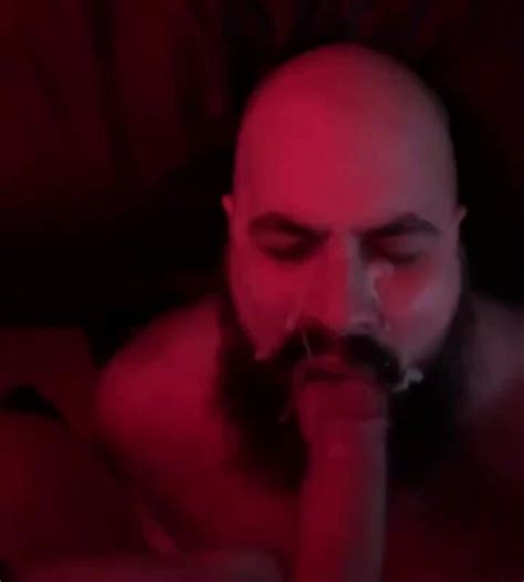 Bear Facial Video 73
