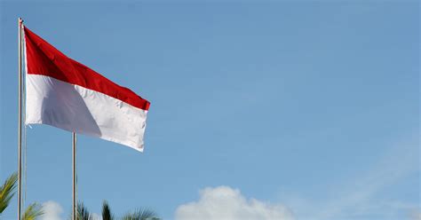Two Men In Indonesia Publicly Caned 77 Times For Engaging In Consensual